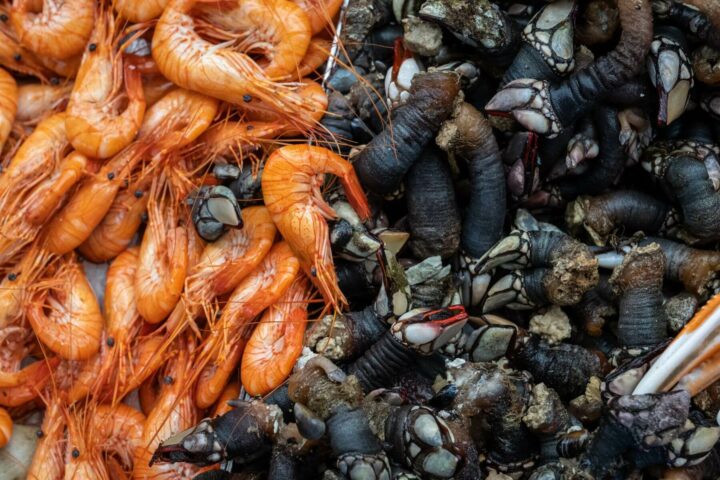 Food Tours in Porto by the Oldest Tour Company in town